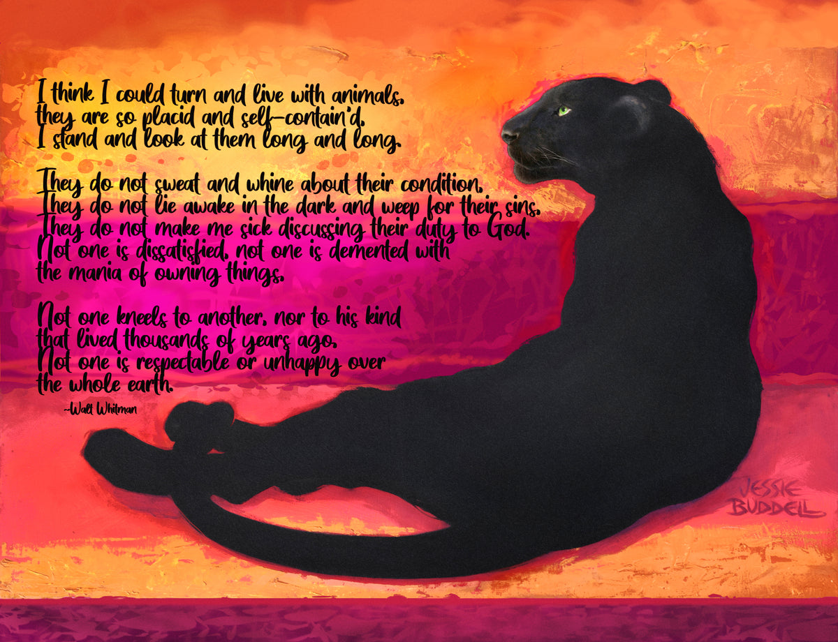 Panther Queen – Primal Scenes